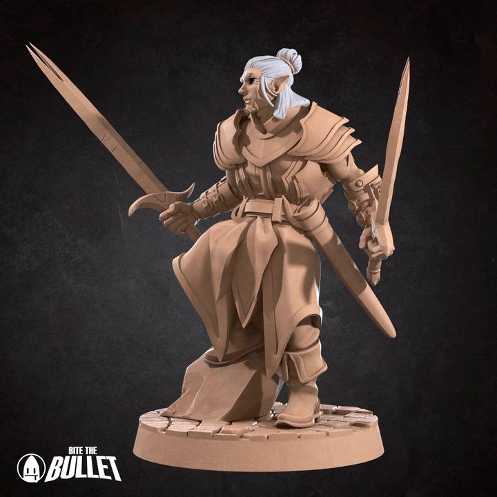 3D Printable Drow Weapon Master by Bite the Bullet